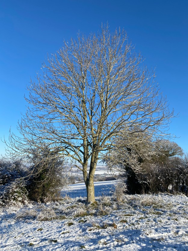 Village | Cherington and Stourton Village