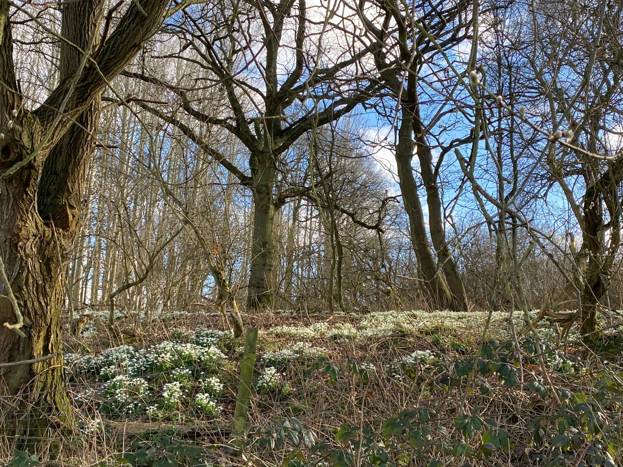 Village | Cherington and Stourton Village