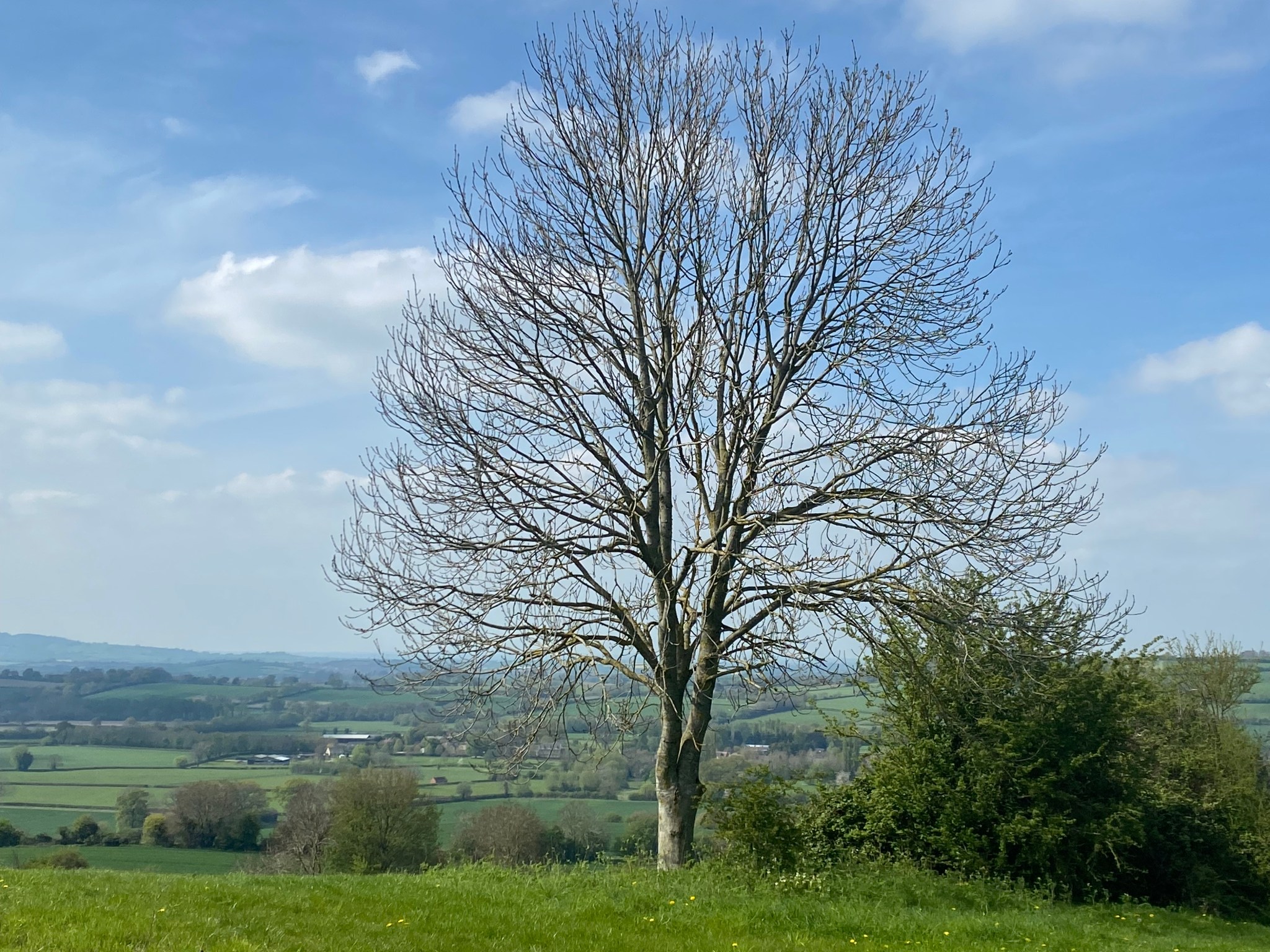 Village | Cherington and Stourton Village