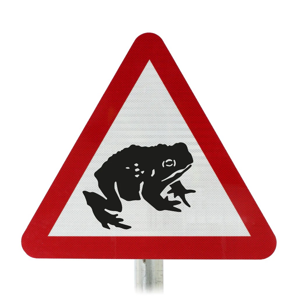 Watch Out – Frogs About! | Cherington and Stourton Village